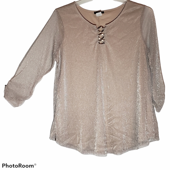 Cocomo | Tops | Cocomo Womens Plus Size X Chiffon Sheer Silver Sparkle ...